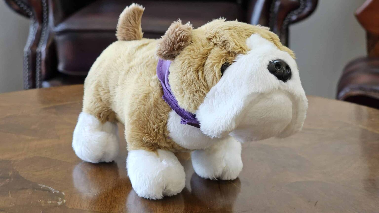 Conrad Stuffed Toys Collection - From 49 Hotels Worldwide